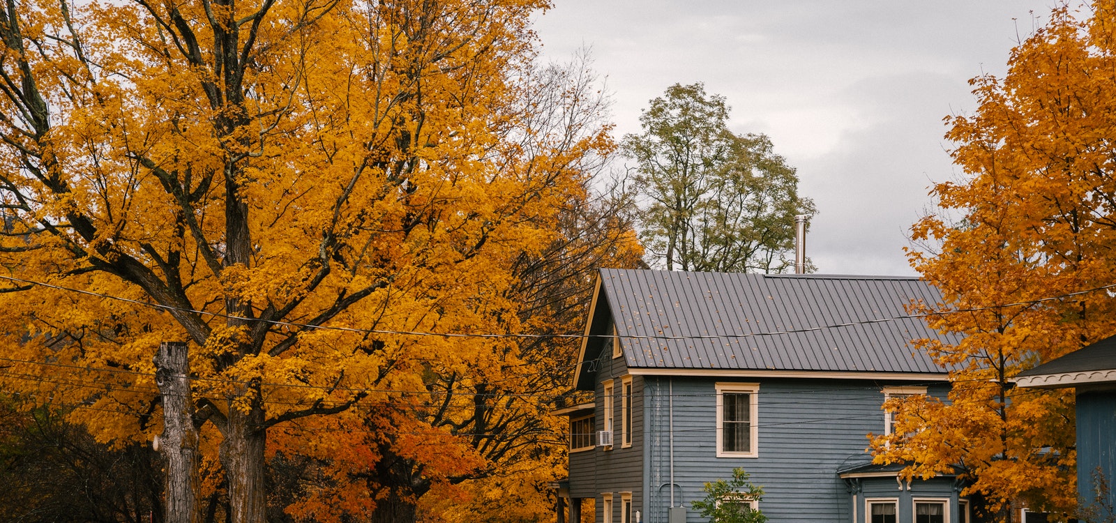 Tree Landscaping Ideas - Hot Ideas to Spruce Up Your Lawn